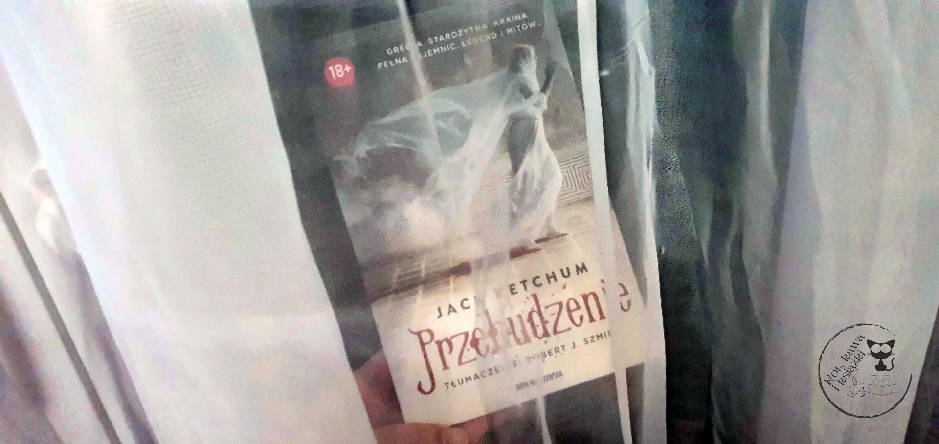 “Przebudzenie” - Jack Ketchum - recenzja - Kot, kawa i książki