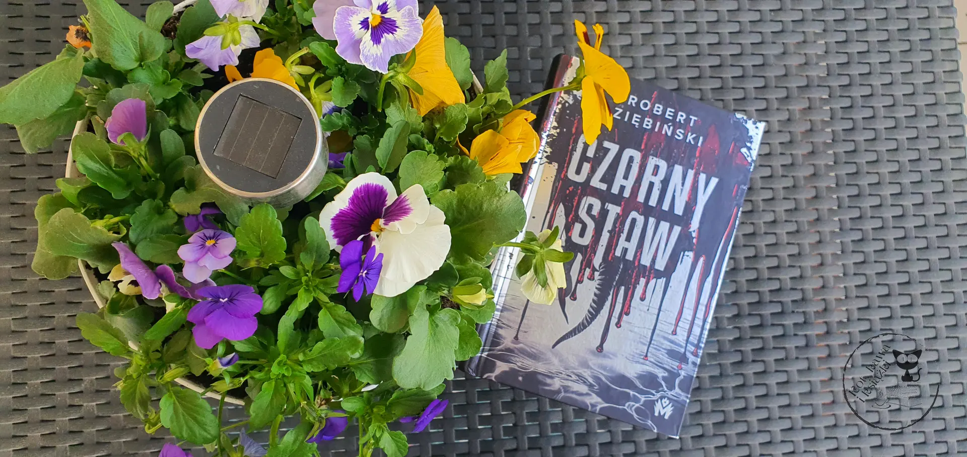 “Czarny Staw” - Robert Ziębiński - recenzja - Kot, kawa i książki